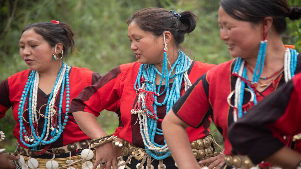 The Land of Biodivinity - Arunachal Pradesh